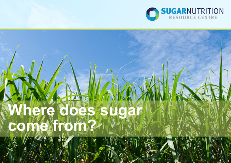 The Sugar Industry - Sugar Australia